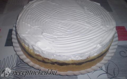 Csokis keksz torta recept Velkovicsné Annus Rita konyhájából ...