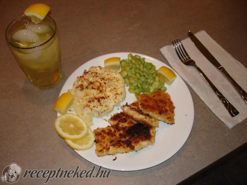 Paprikás tonhal tepsiben recept Héring Istvánné konyhájából ...